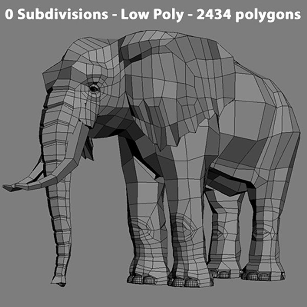 Max Elephant Animation