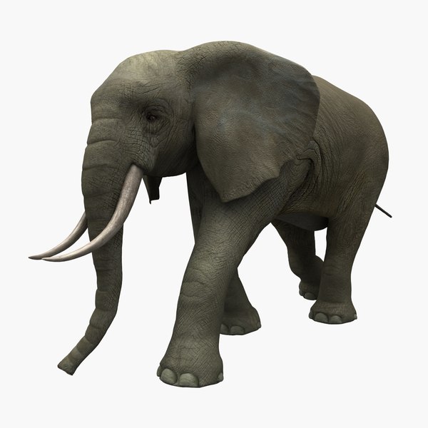 max elephant animation
