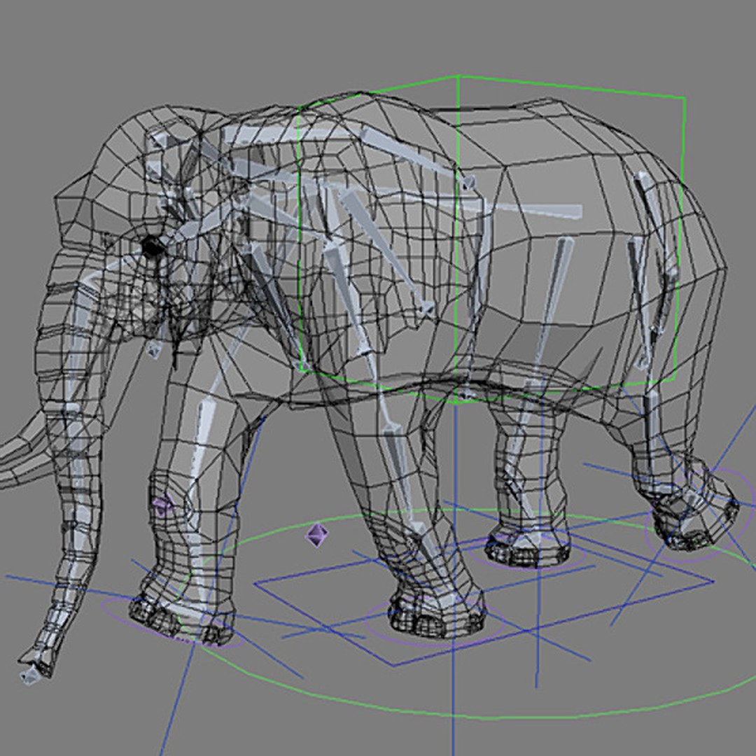 Max Elephant Animation