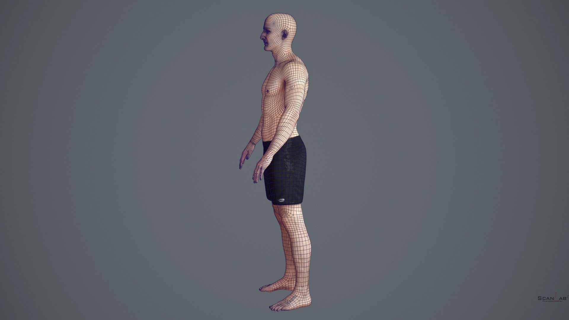Male Body Scan - 3d Model
