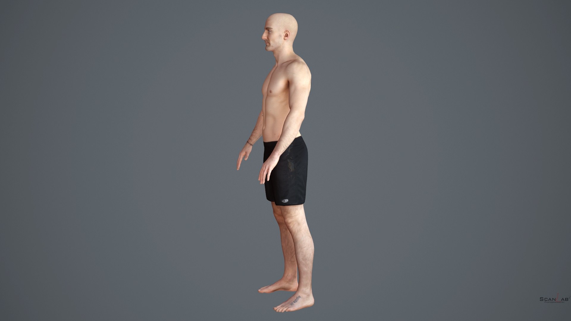 Male Body Scan - 3d Model