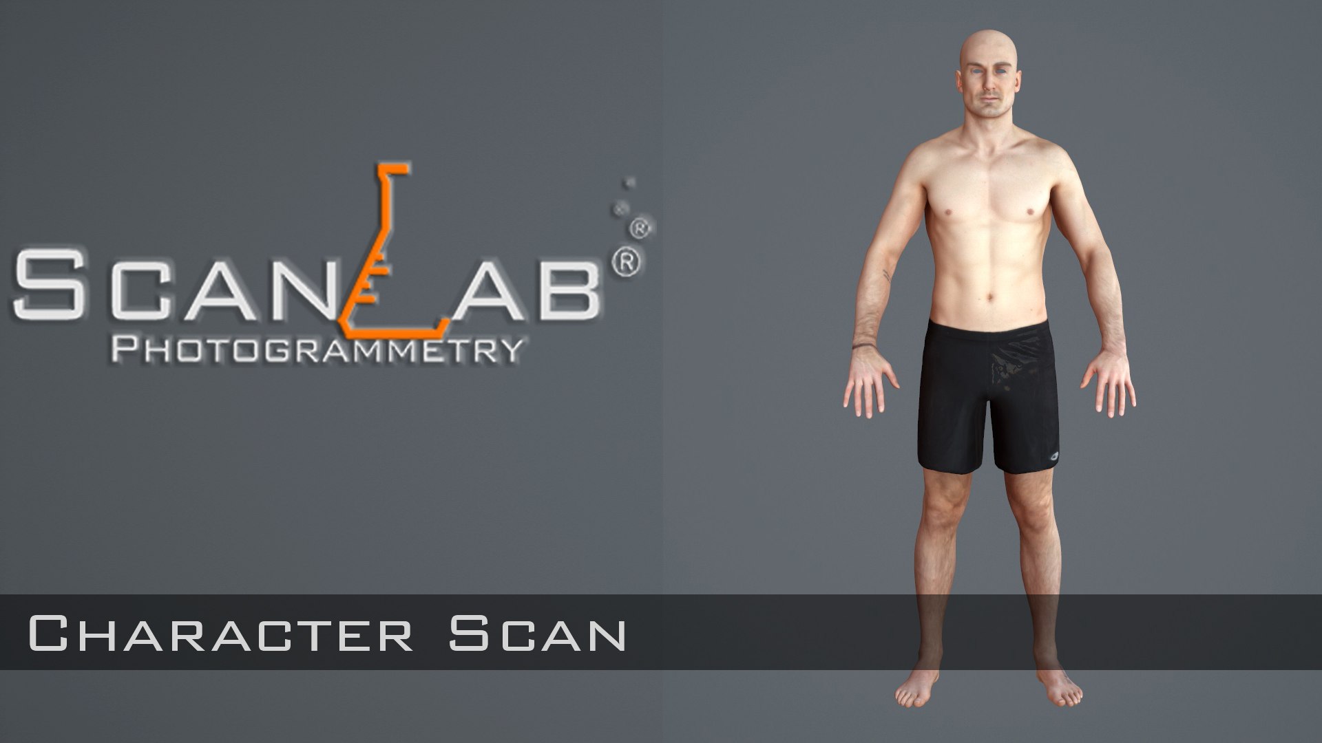 Male Body Scan - 3d Model