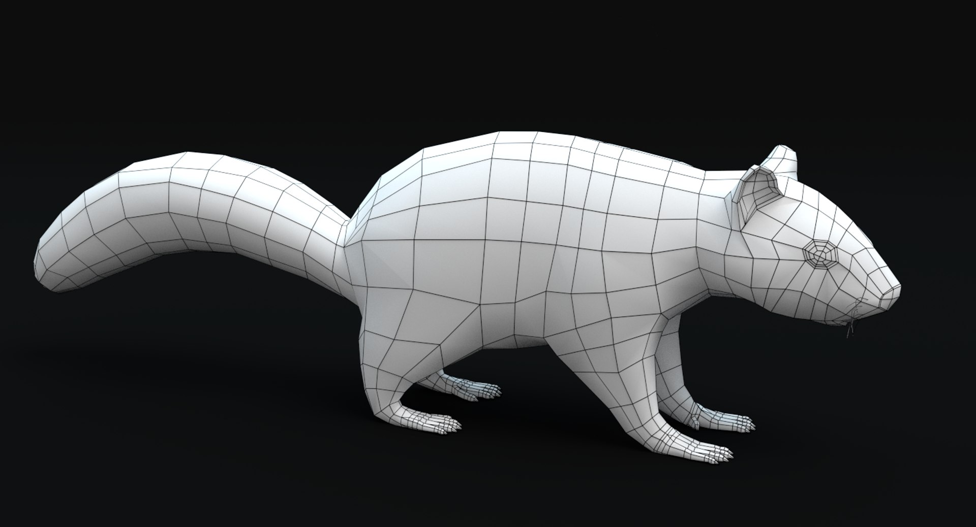 Squirrel 3d Model
