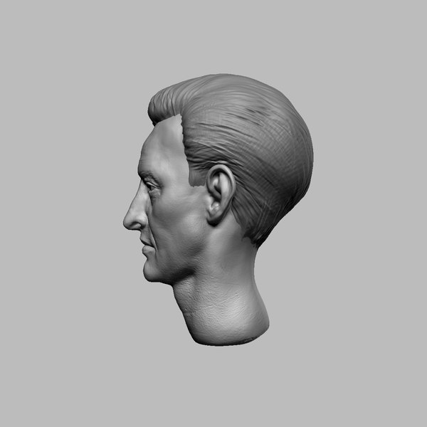 3d model decimated head