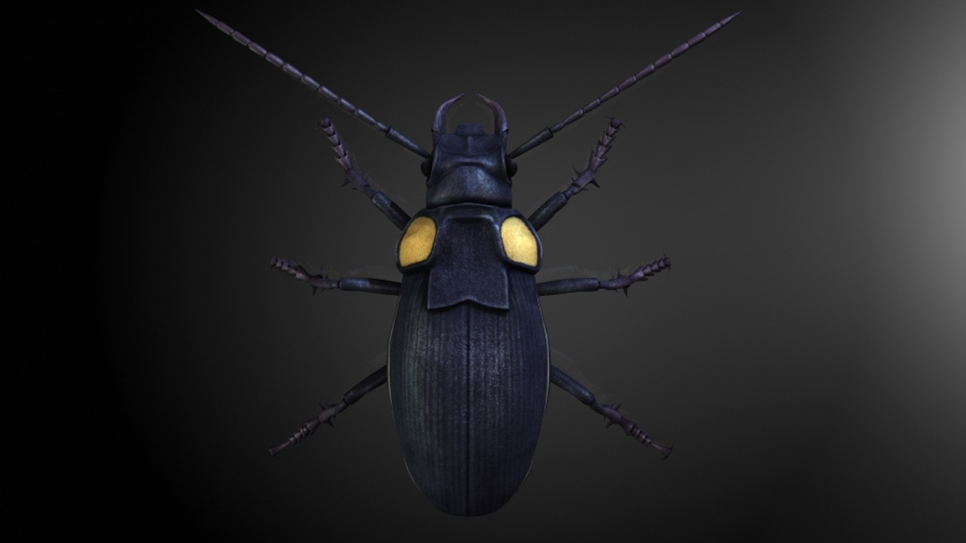 Insect 3D model - TurboSquid 1215035