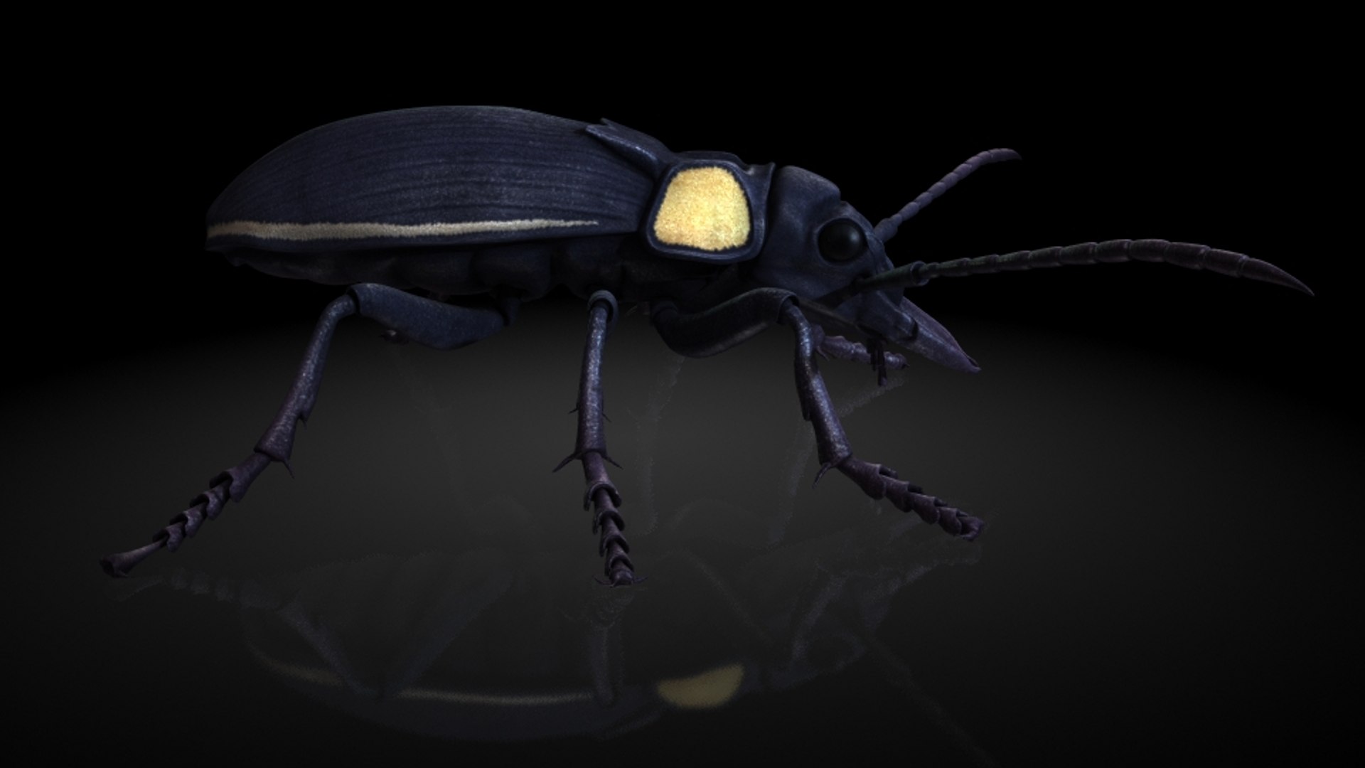 Insect 3D Model - TurboSquid 1215035