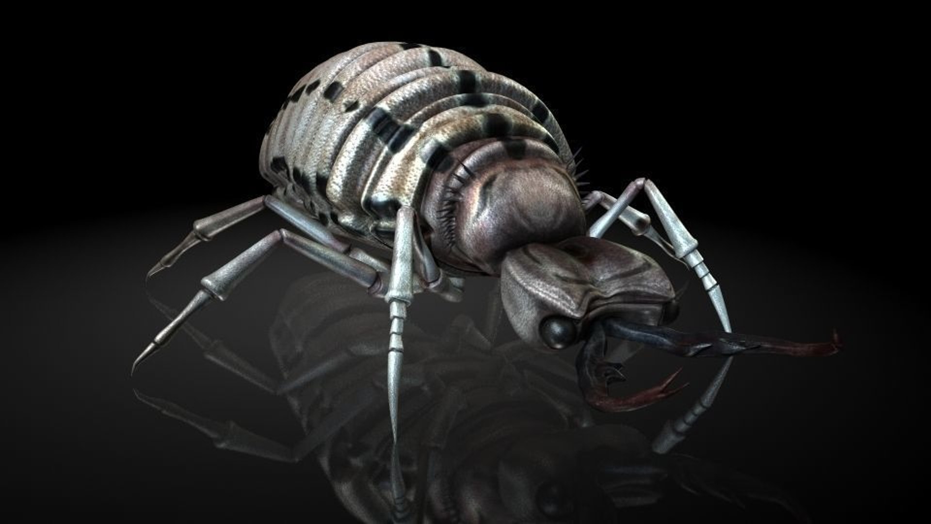 Insect 3D Model - TurboSquid 1215035
