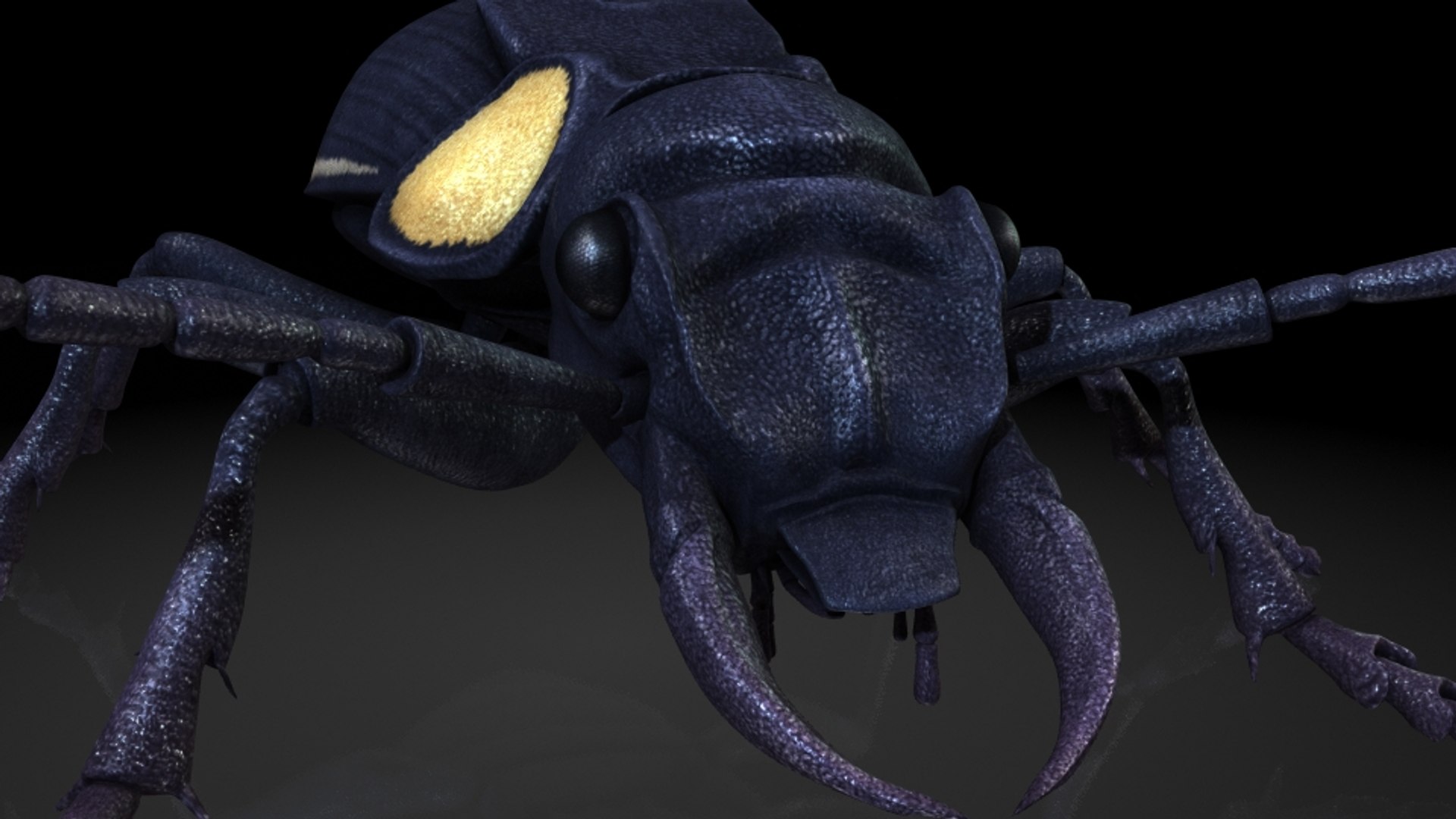 Insect 3D Model - TurboSquid 1215035