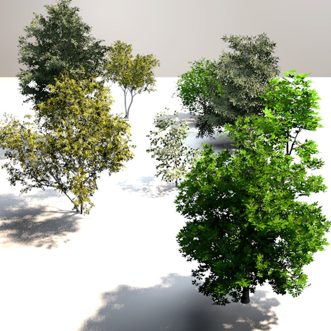 trees 3d c4d