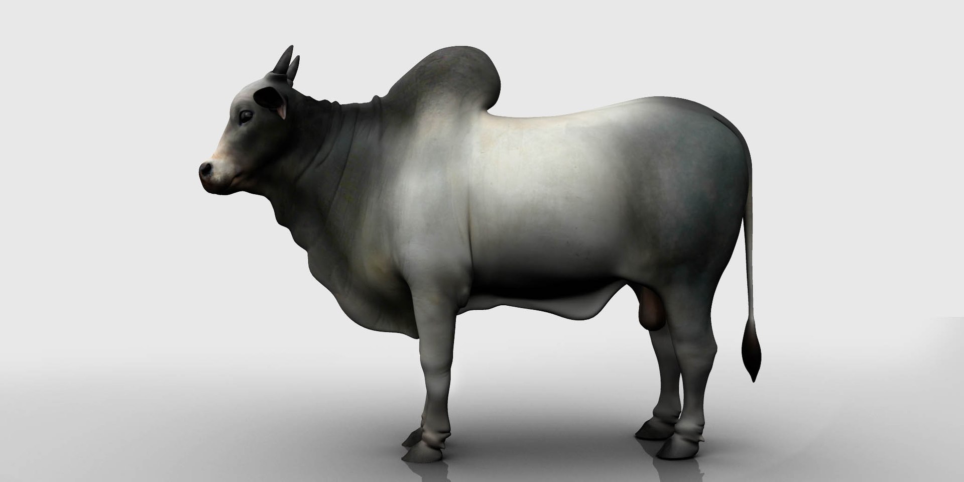 3D Bull - TurboSquid 1463184