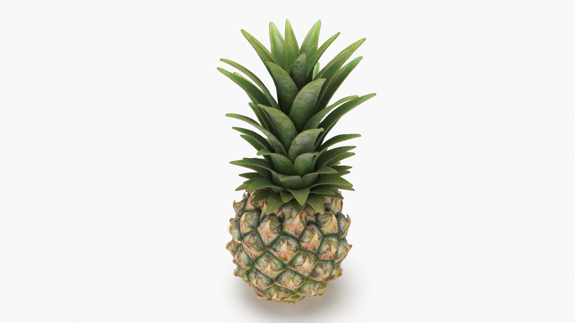 Whole And Half Pineapple Model - TurboSquid 2093953