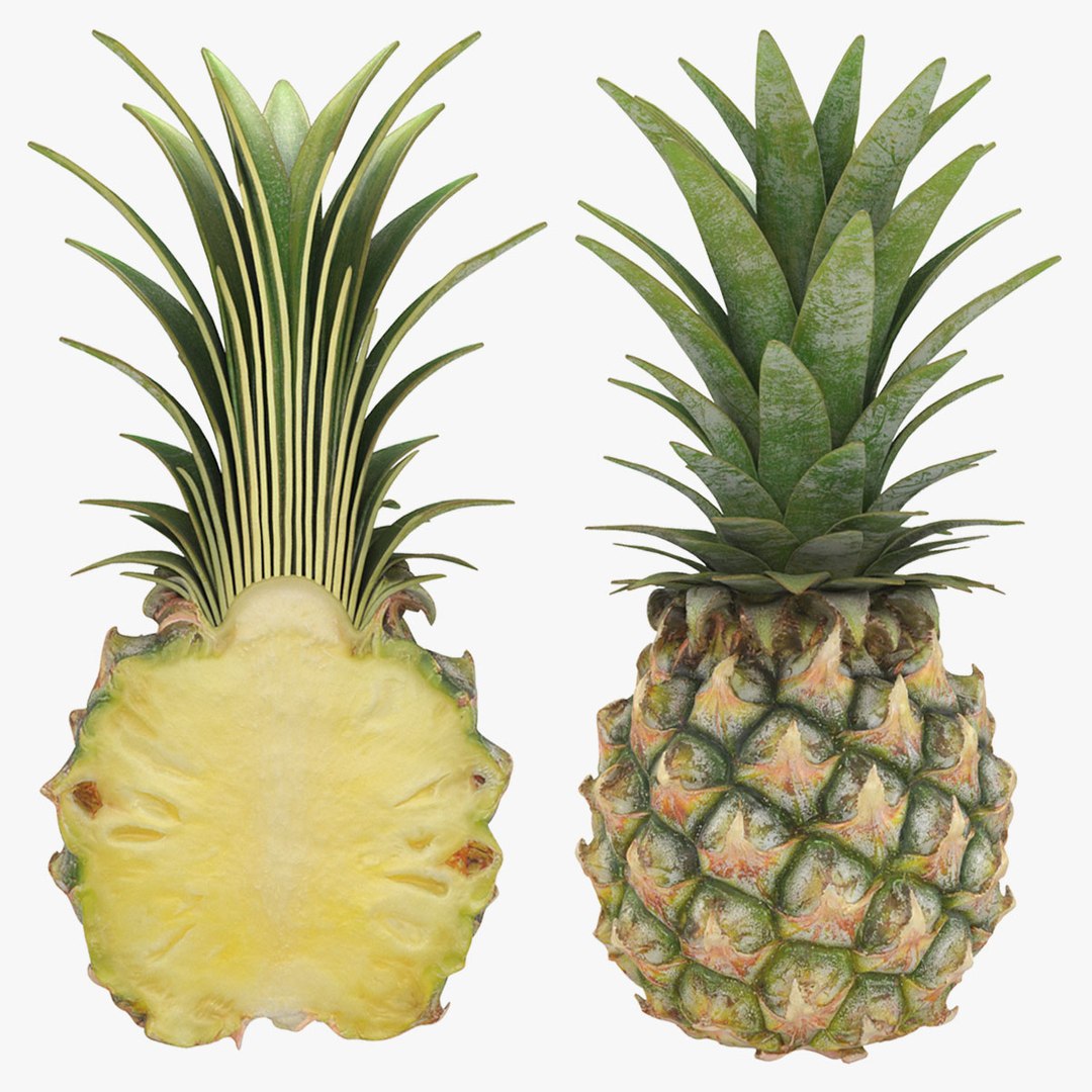 Whole And Half Pineapple Model - TurboSquid 2093953