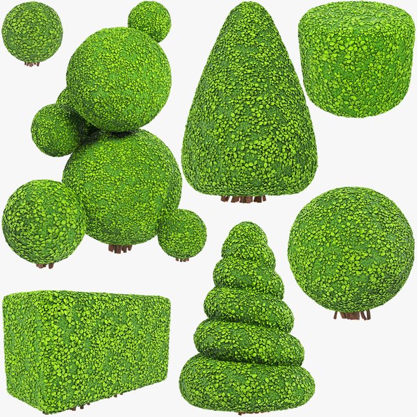 Bush 3D Models for Download | TurboSquid
