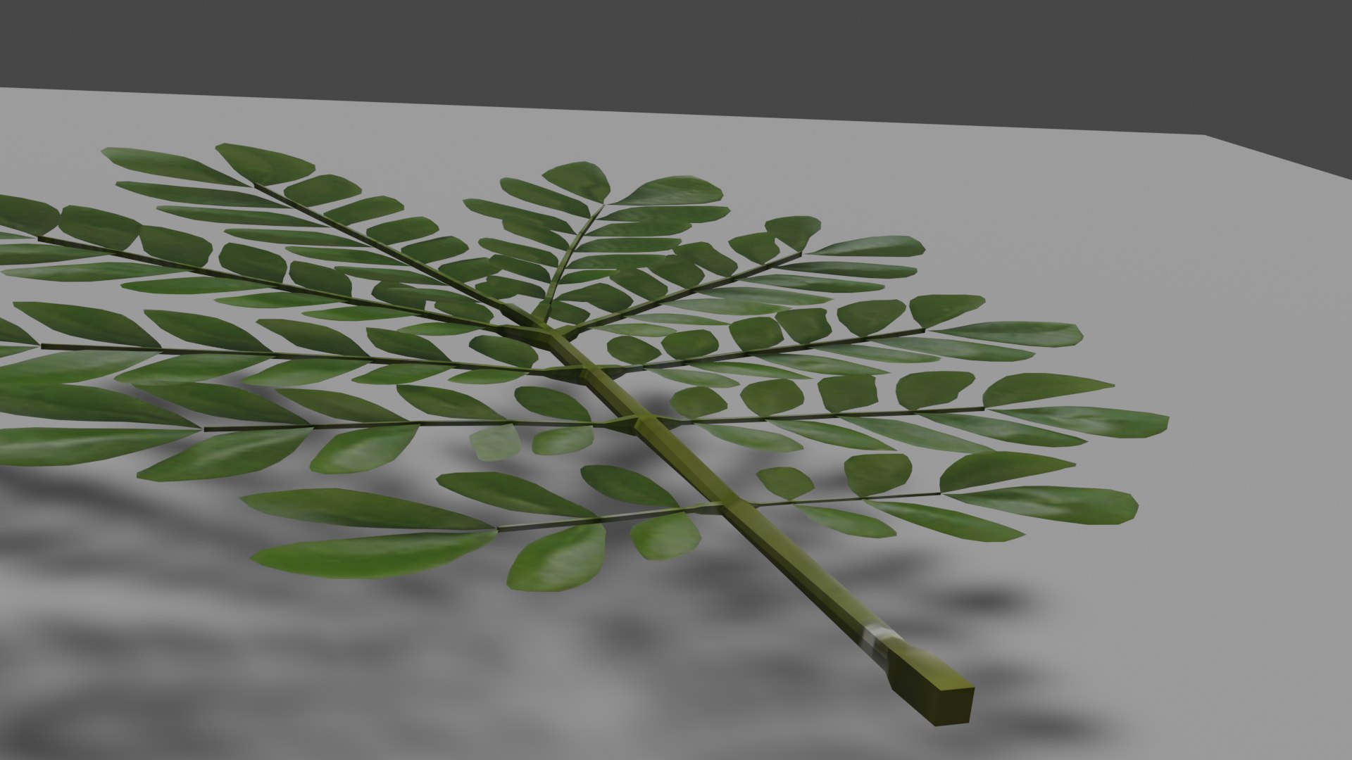 Samanea Saman Branch 3D Model - TurboSquid 1954554