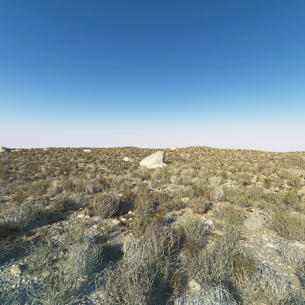 3D Desert Models | TurboSquid