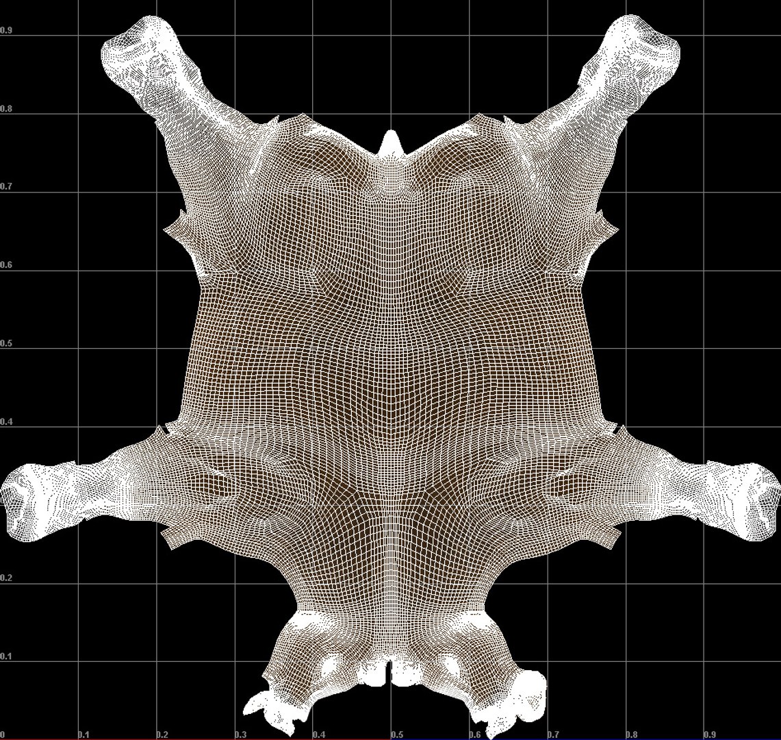 3d Realistic Horse Saddle Model