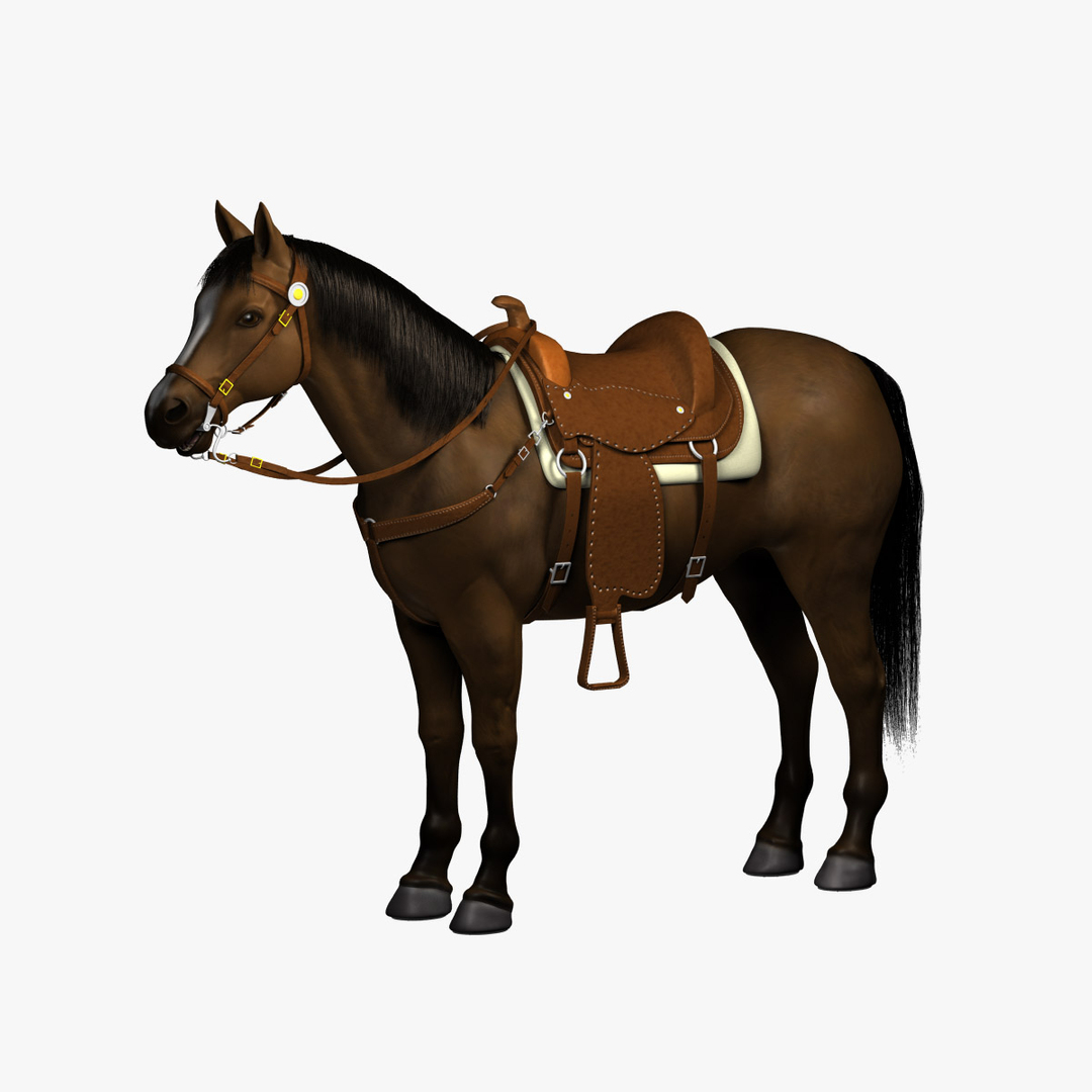 3d Realistic Horse Saddle Model