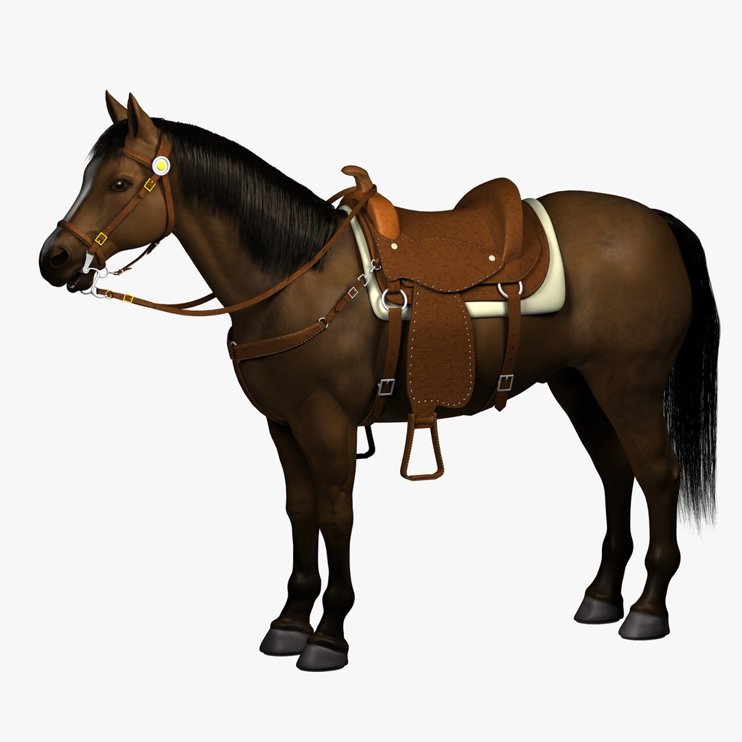 3d Realistic Horse Saddle Model