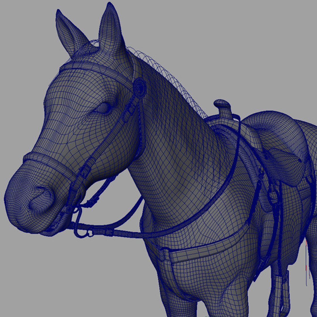 3d Realistic Horse Saddle Model