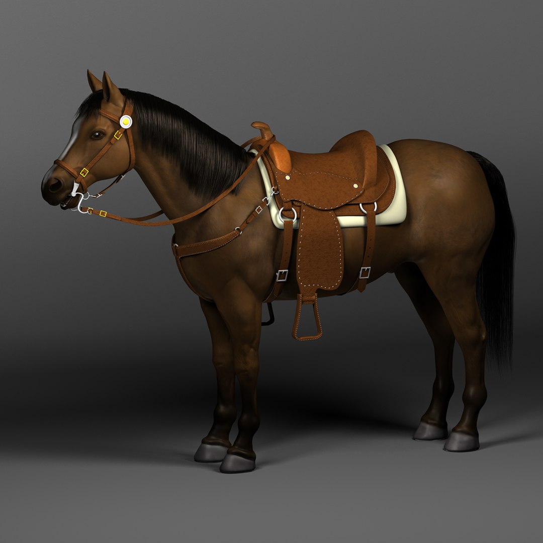 3d Realistic Horse Saddle Model