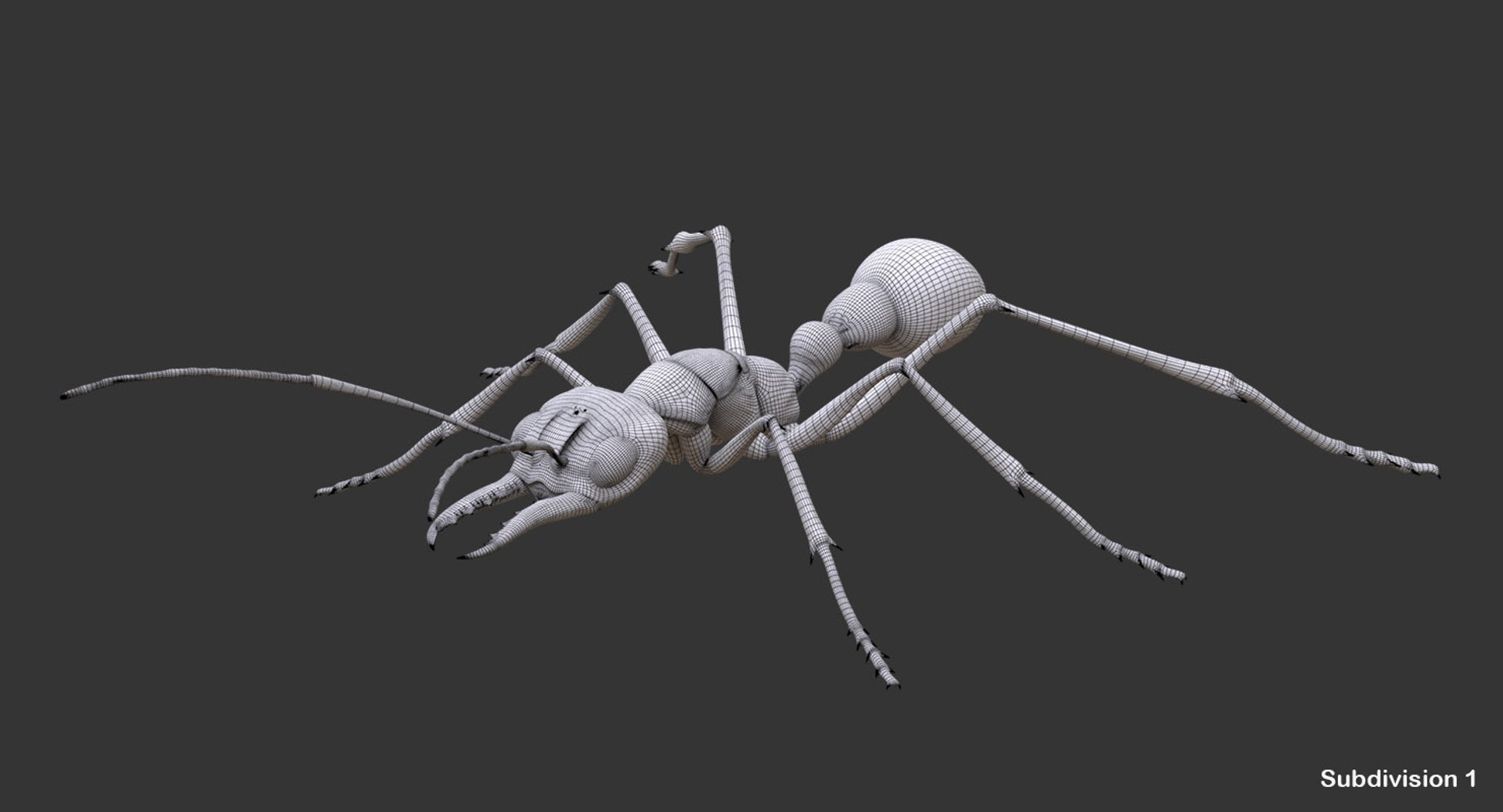 Australian Bulldog Ant 3D Model - TurboSquid 1289989