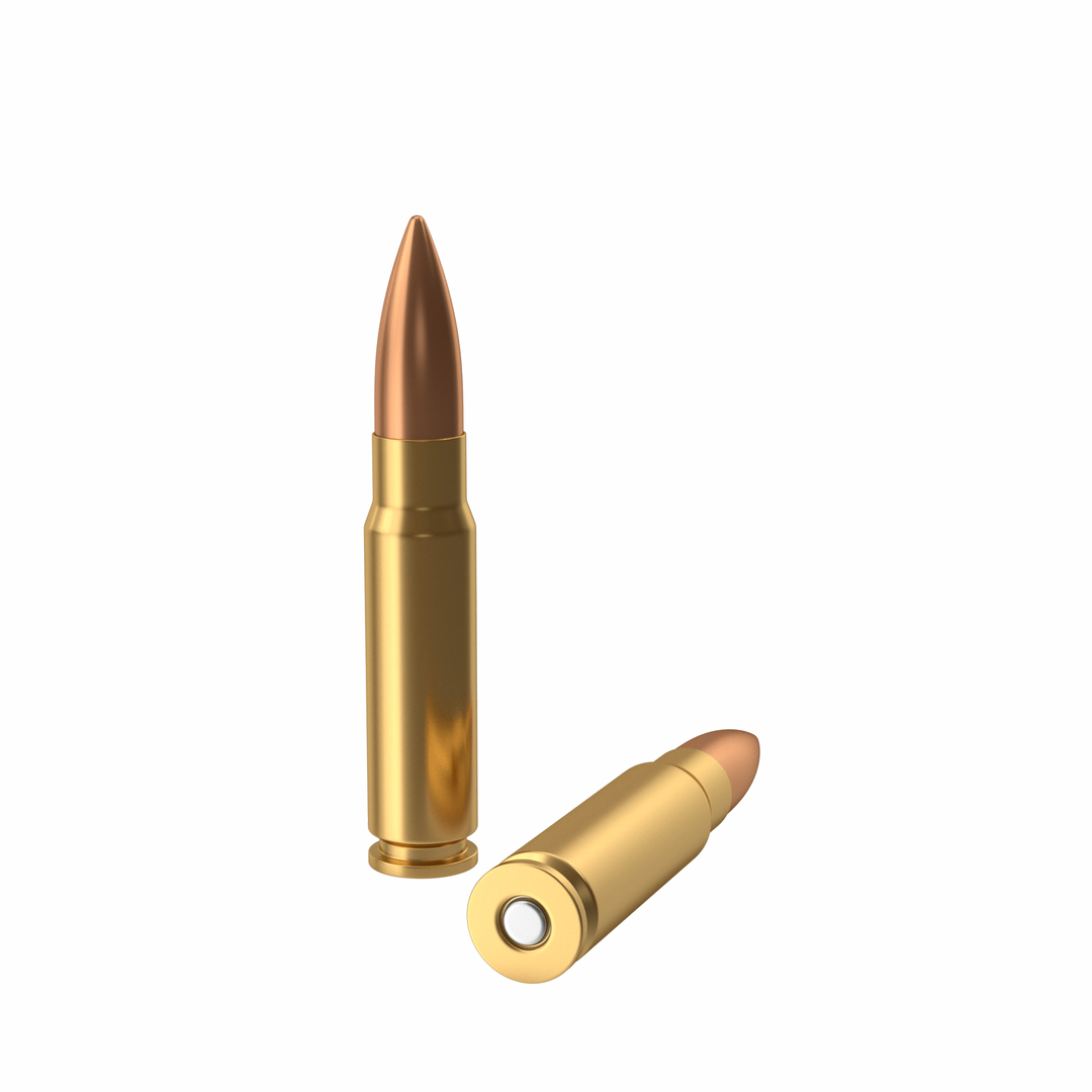 Rifle Bullets 3D Model - TurboSquid 1909758
