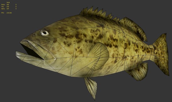 Grouper 3D model - TurboSquid 1416072