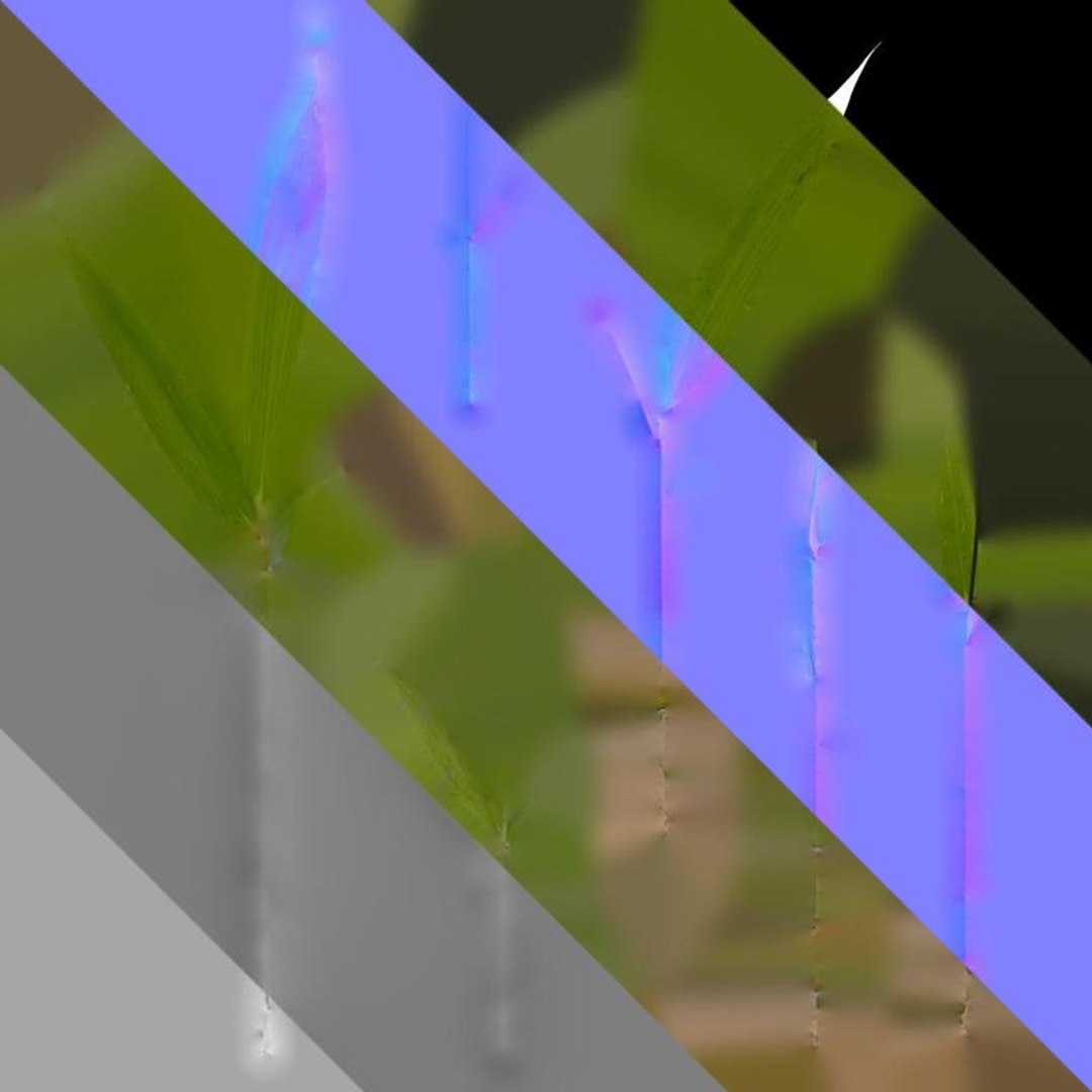 Anydrafts Bambusa Multiplex Atlas 02 Textures 3D - TurboSquid 2345334