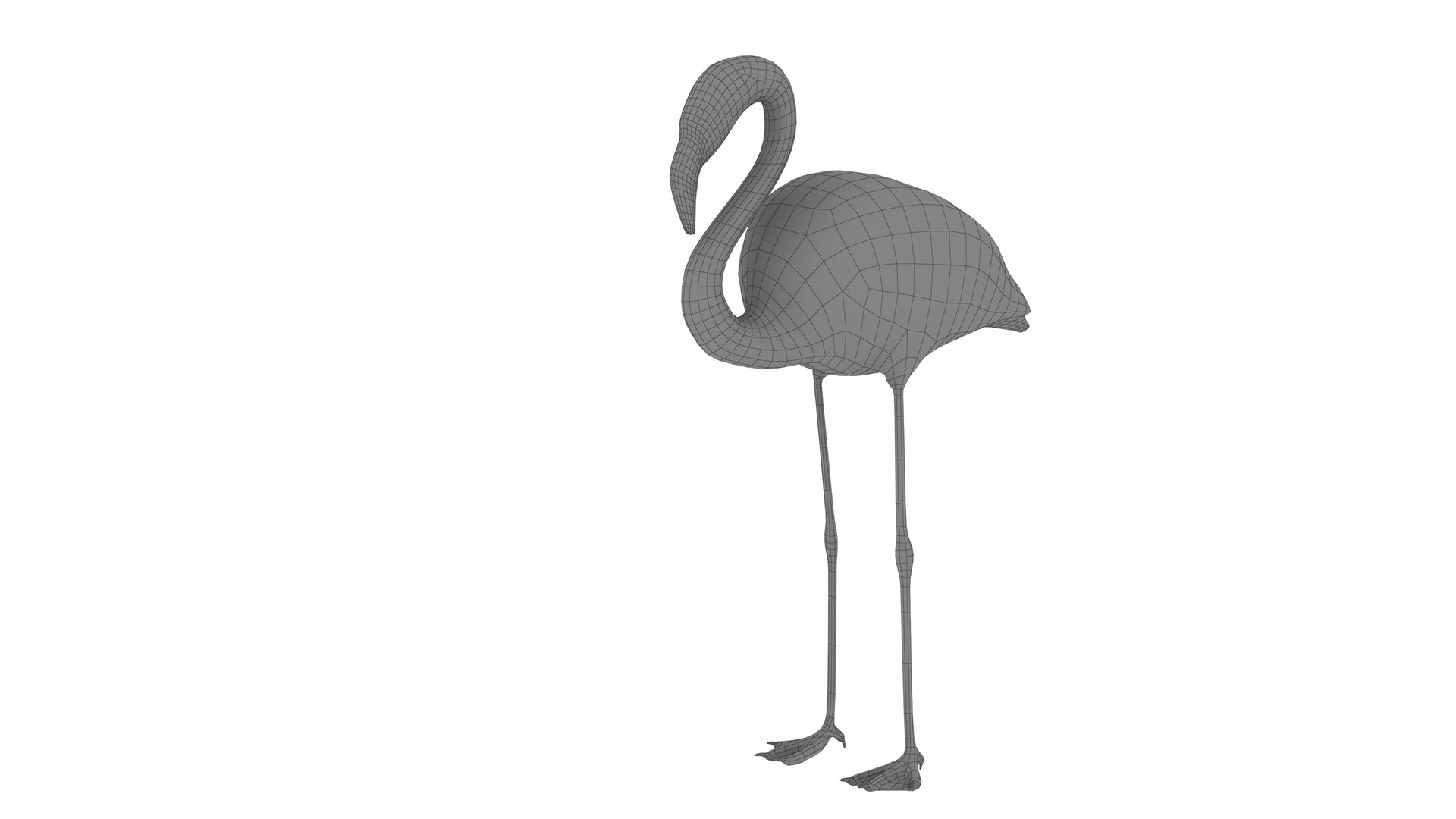 3D Flamingo Pink - TurboSquid 2339585