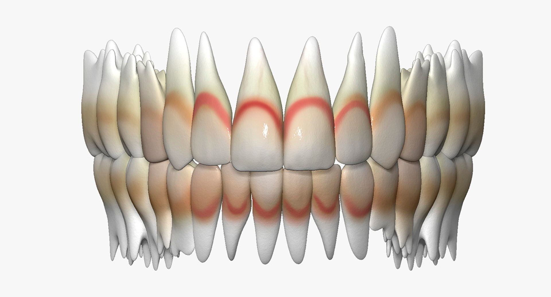 Zbrush Woman Michelle Head Model - TurboSquid 1404935