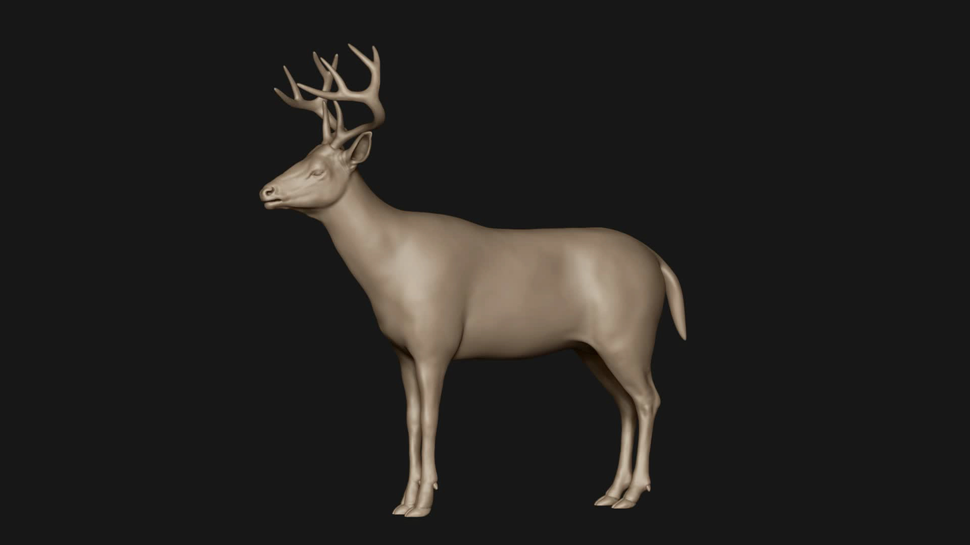 White Tailed Deer Base Mesh 3D 3D Model - TurboSquid 1823524