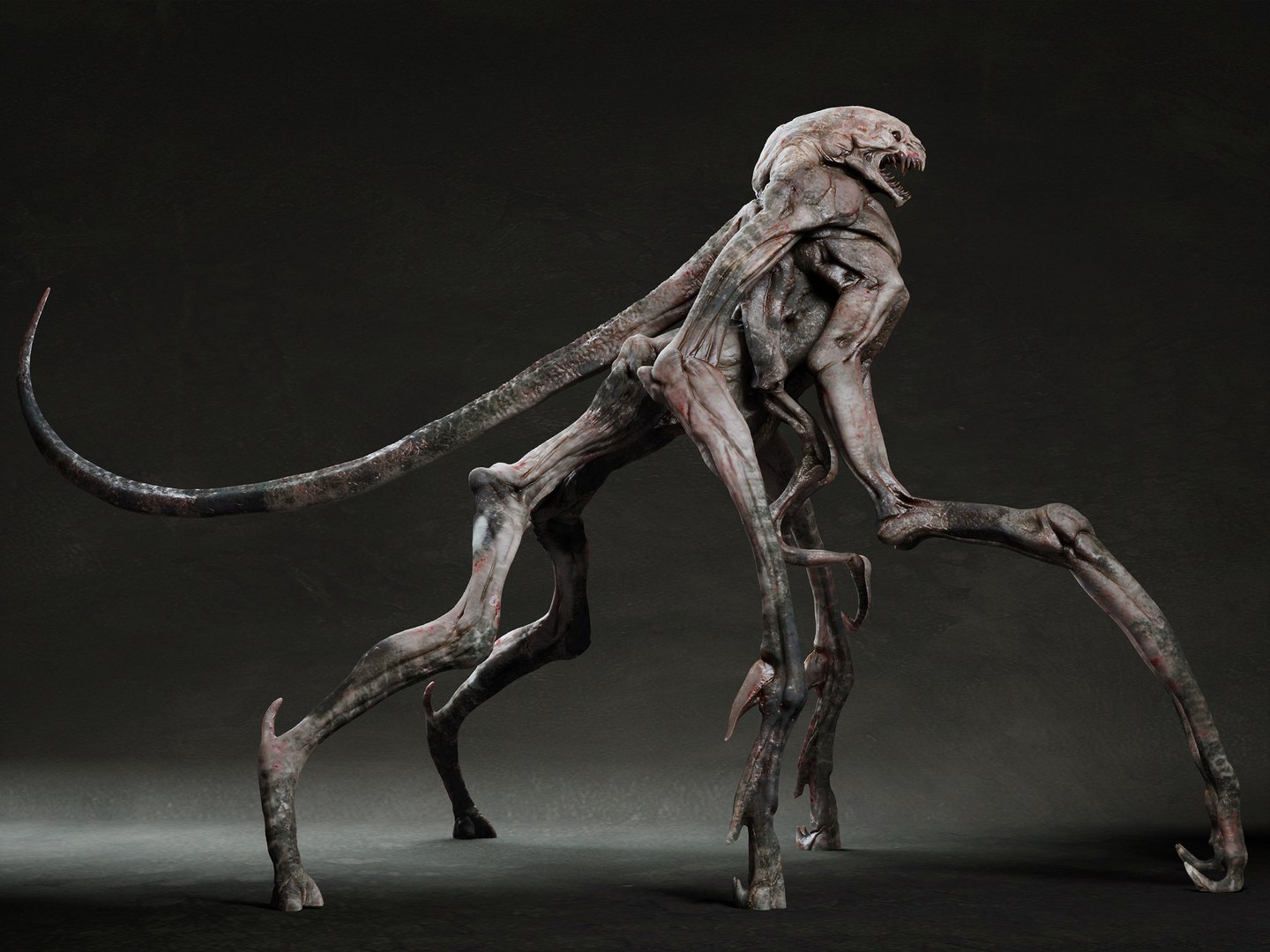 Spider Flesh Creature 3D Model - TurboSquid 1894171