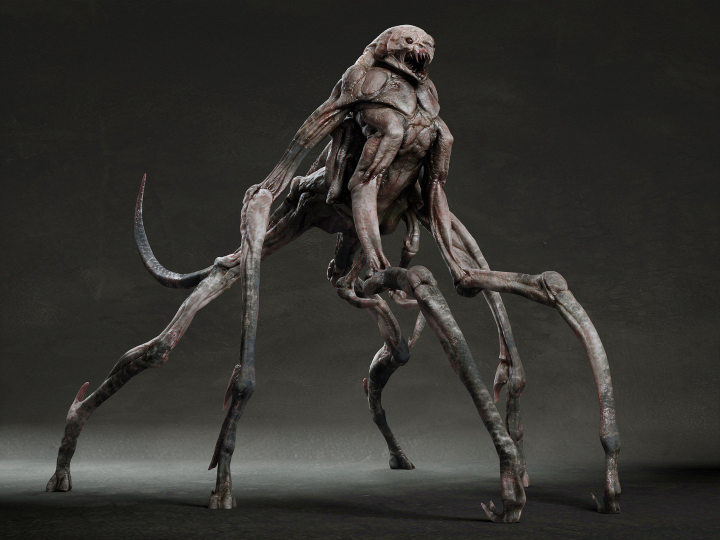 Spider Flesh Creature 3D Model - TurboSquid 1894171