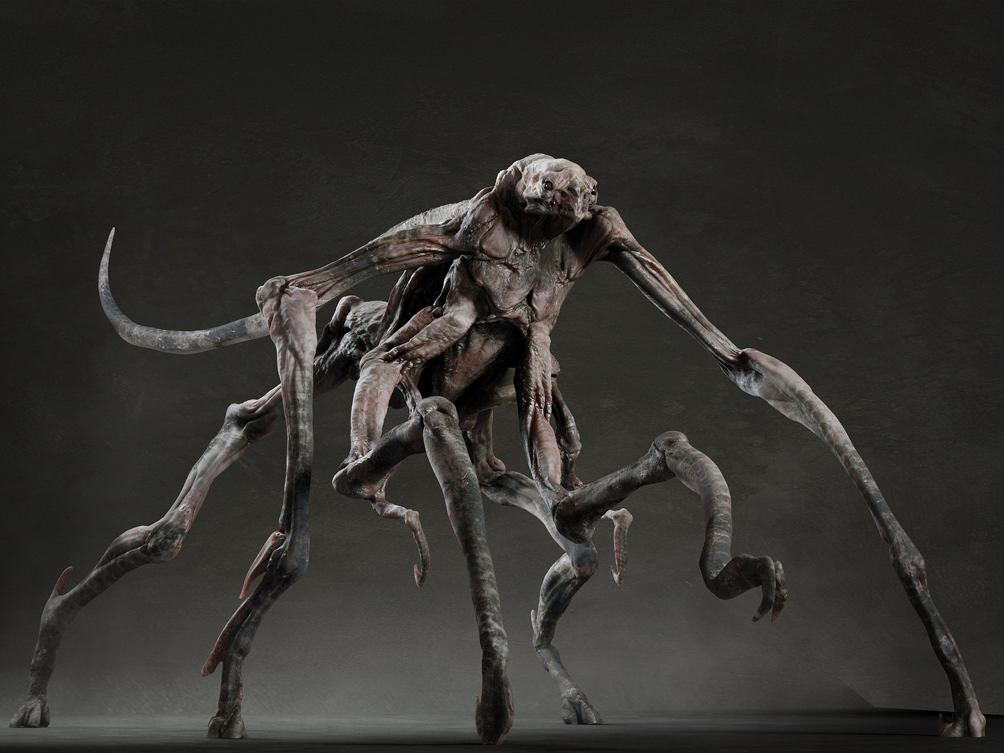 Spider Flesh Creature 3D Model - TurboSquid 1894171