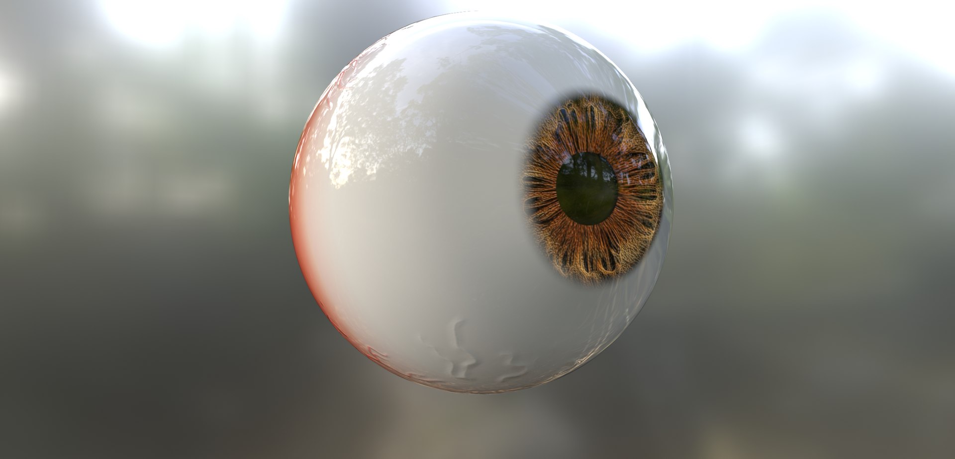 3D Human Eye Model Model - TurboSquid 2279145