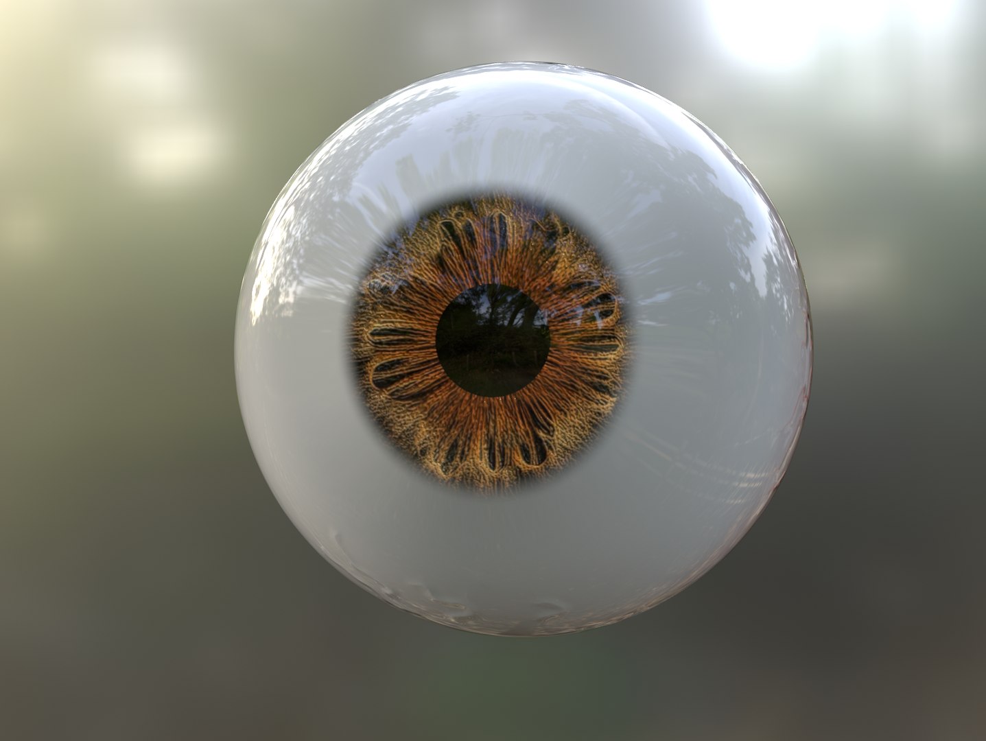 3D Human Eye Model Model - TurboSquid 2279145