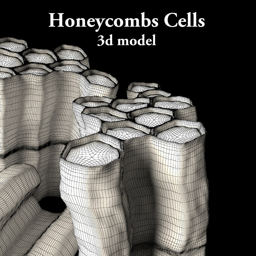 Maya Honey Comb