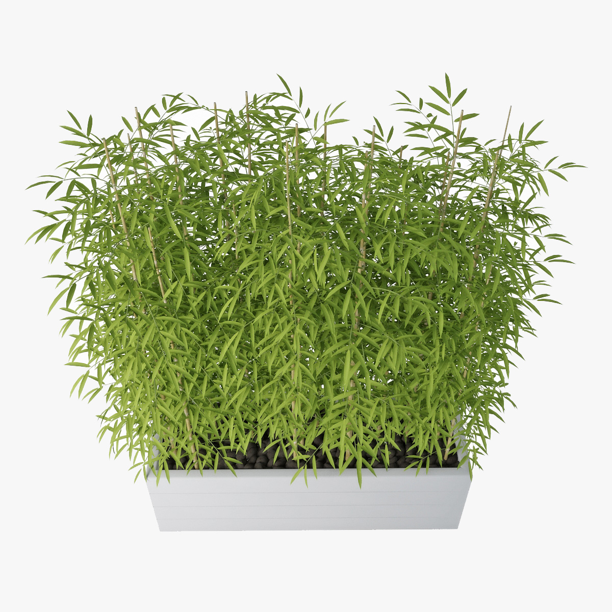 3d model bamboo