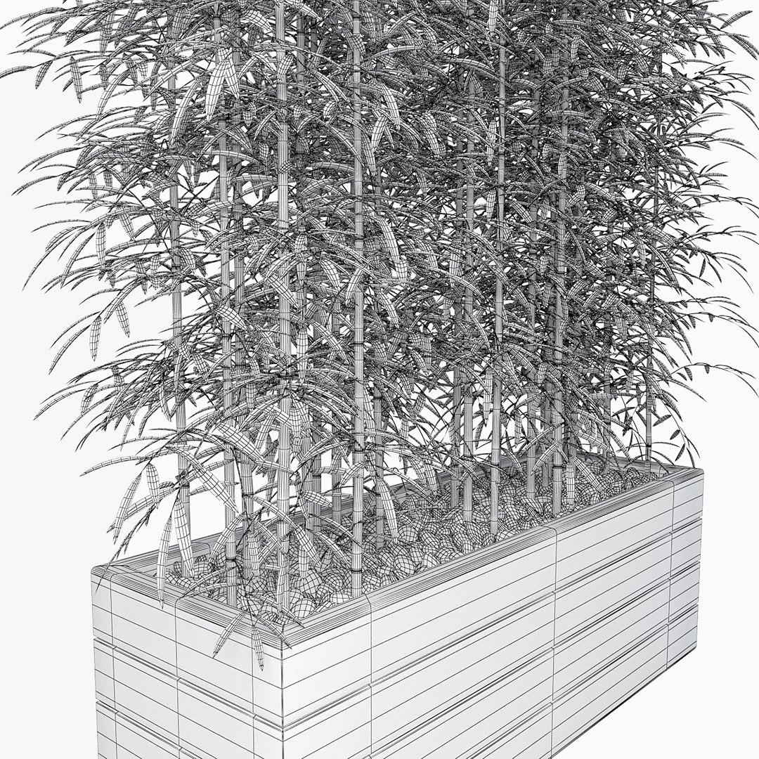 3d Model Bamboo
