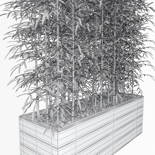 3d model bamboo