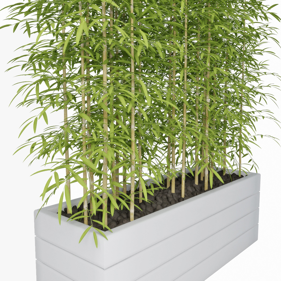 3d model bamboo