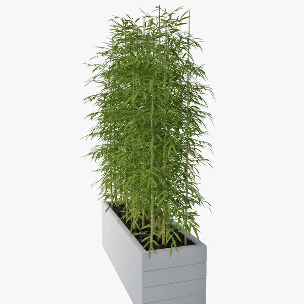 3d model bamboo