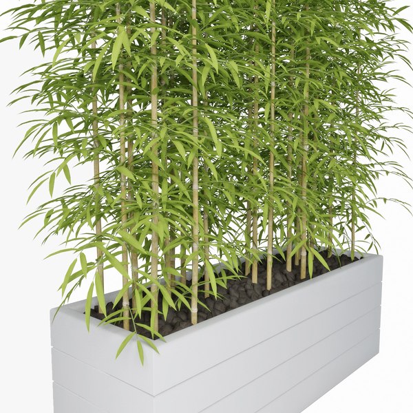 3d model bamboo