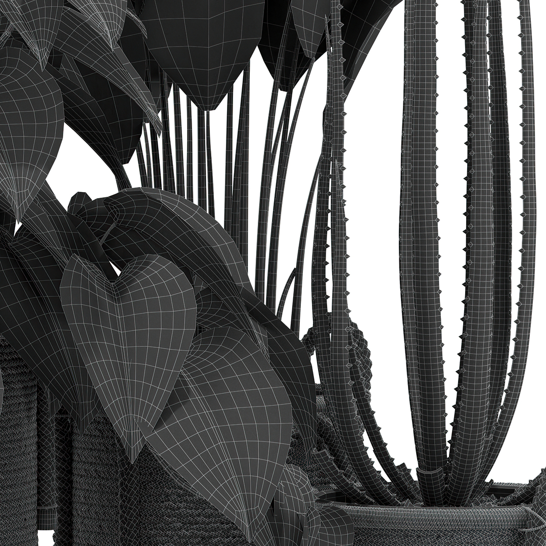 3D plants model - TurboSquid 1701069