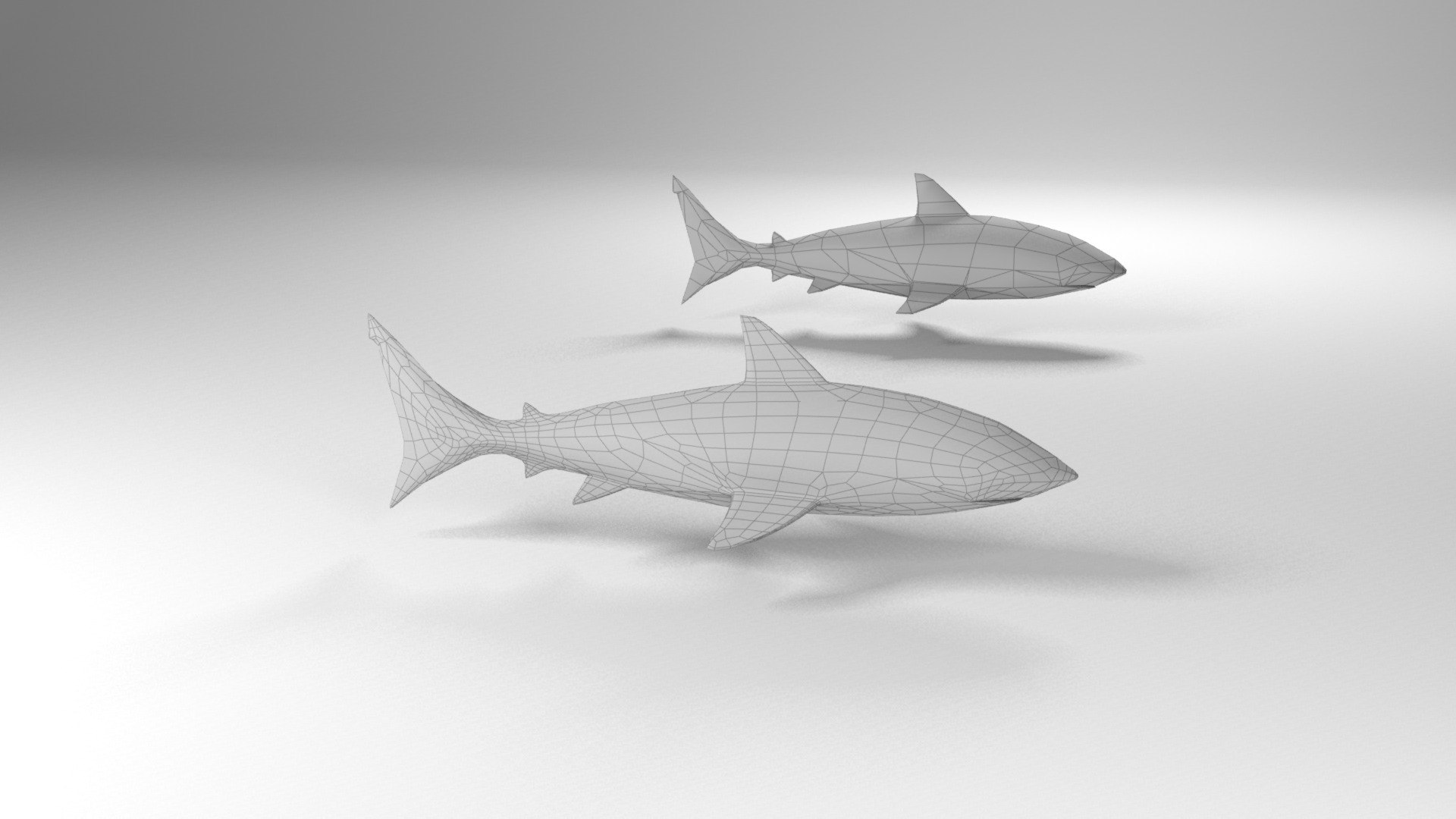 3D Shark Model - TurboSquid 2006595