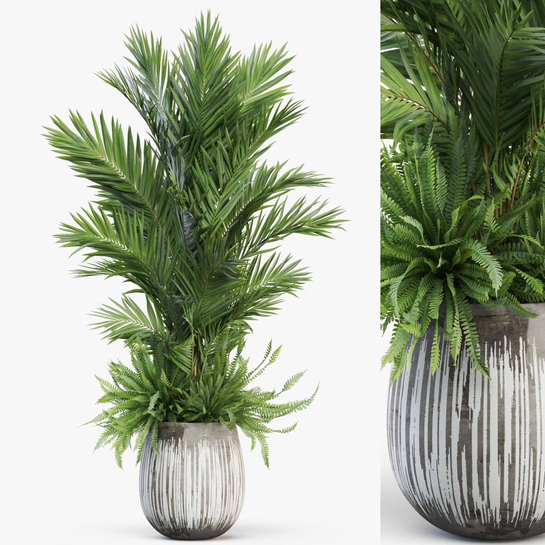 3D Model Plants Collection 1025 - TurboSquid 2167260