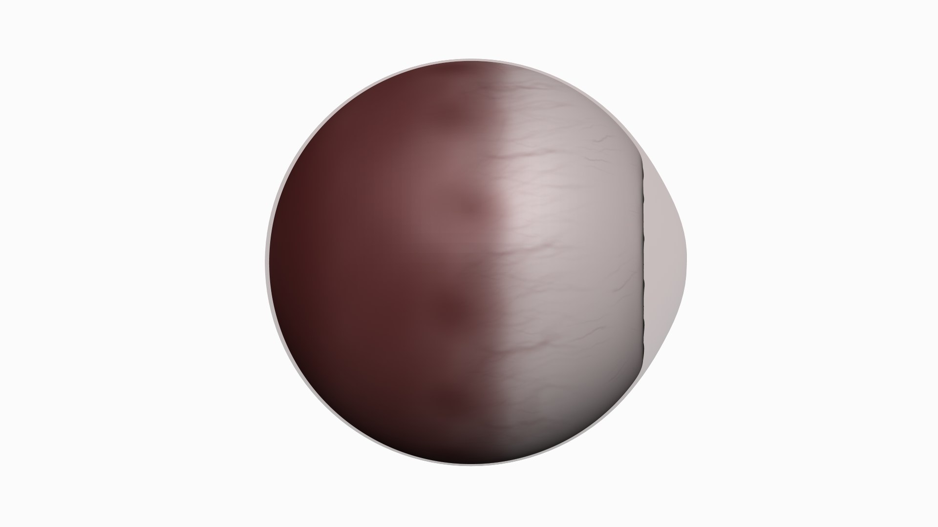 3D EyeBall Model - TurboSquid 2042964
