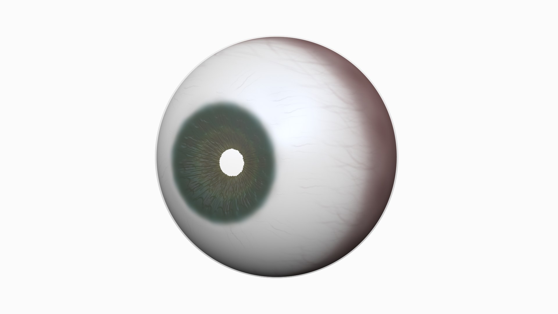 3D EyeBall Model - TurboSquid 2042964