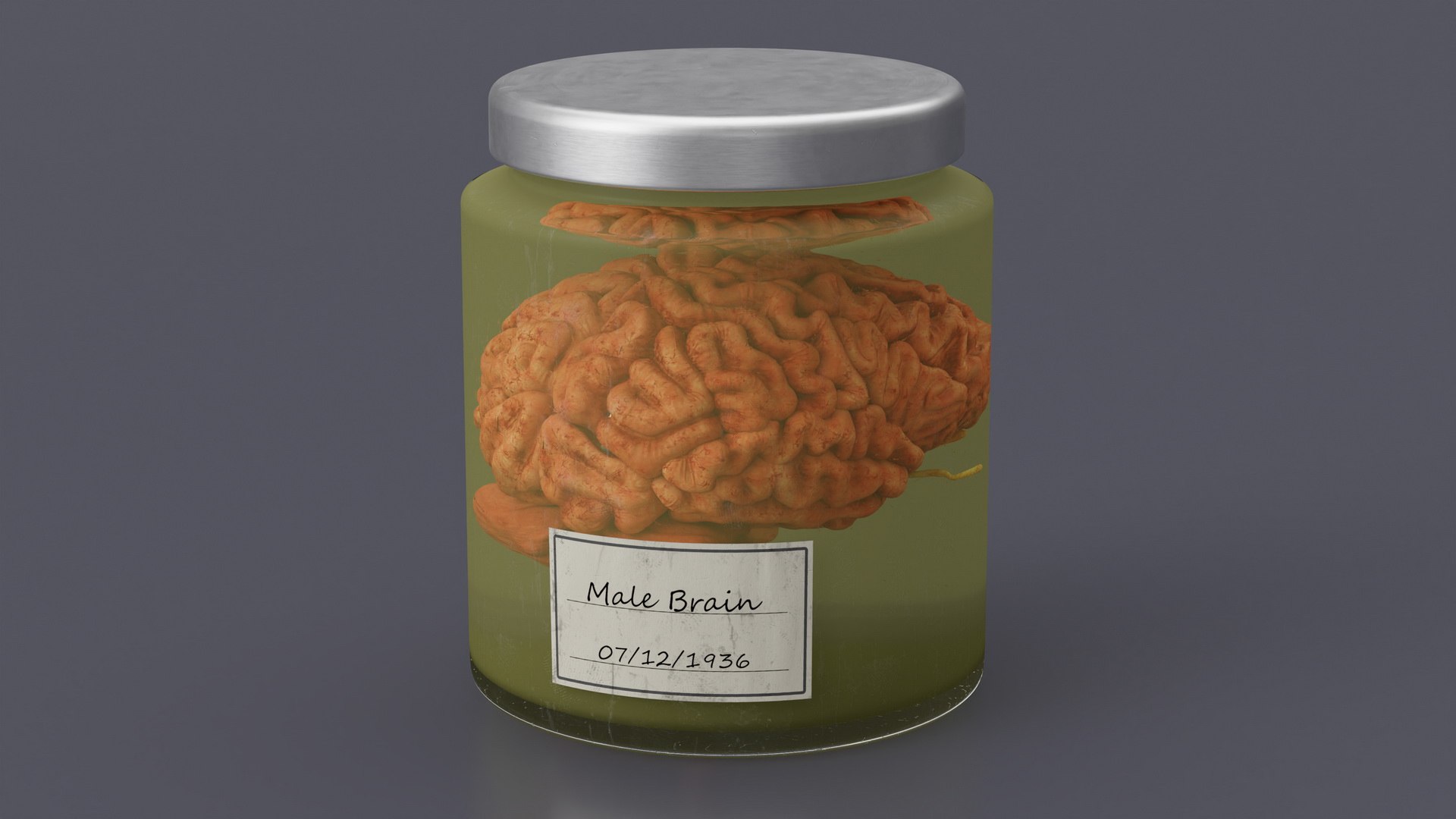 Human Brain In Glass Jar 3D Model - TurboSquid 2259007