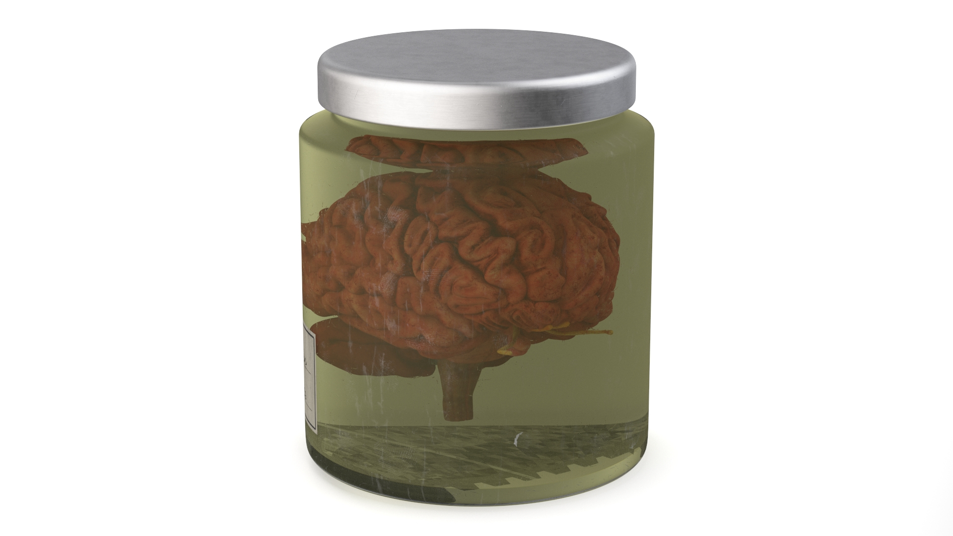 Human Brain In Glass Jar 3D Model - TurboSquid 2259007